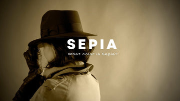 What Color Is Sepia? – Understanding Sepia Wall Art Tones – Dan ...